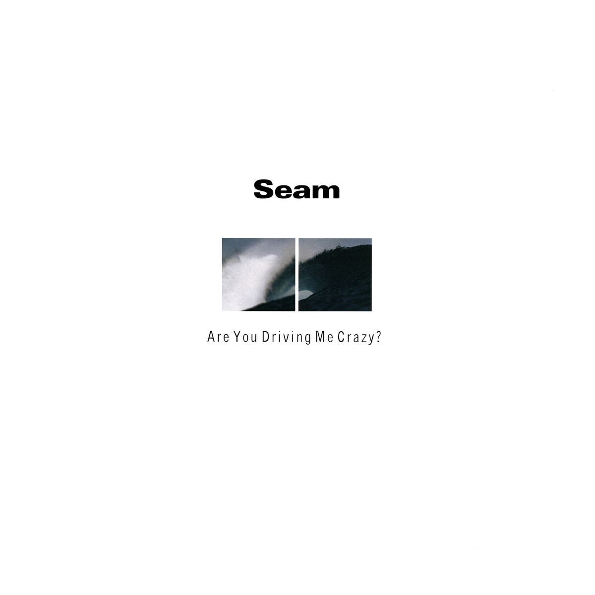 Are You Driving Me Crazy? by Seam (Album): Reviews, Ratings, Credits ...