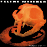The Felines Await You by Feline Melinda (Album; My Graveyard; MGP-064 ...