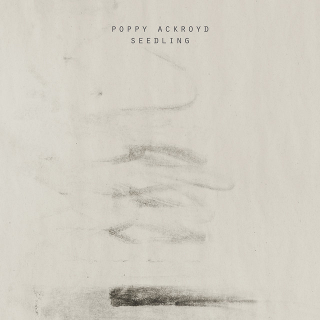 Seedling by Poppy Ackroyd (Single): Reviews, Ratings, Credits, Song ...