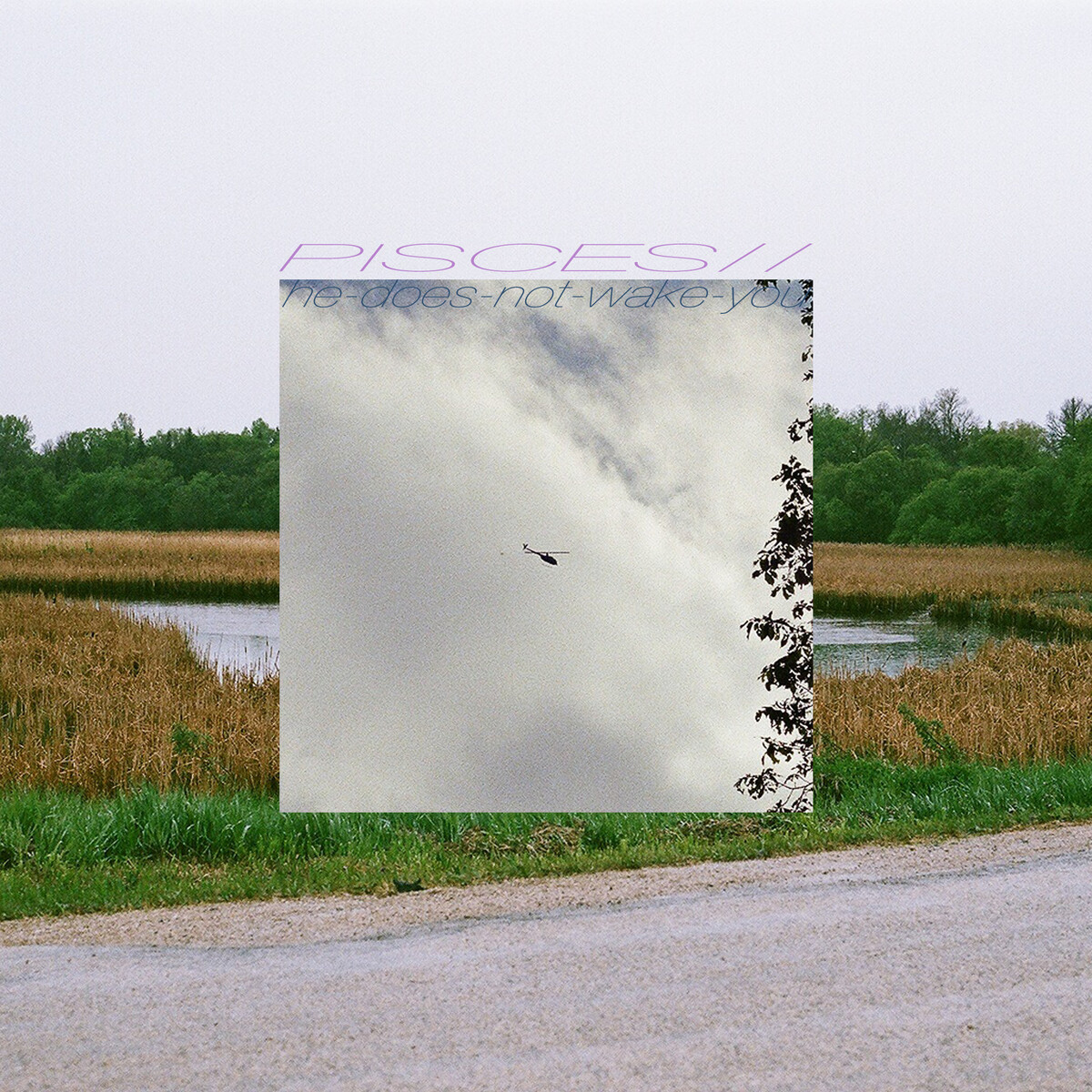 he-does-not-wake-you by pisces// (Album): Reviews, Ratings, Credits ...