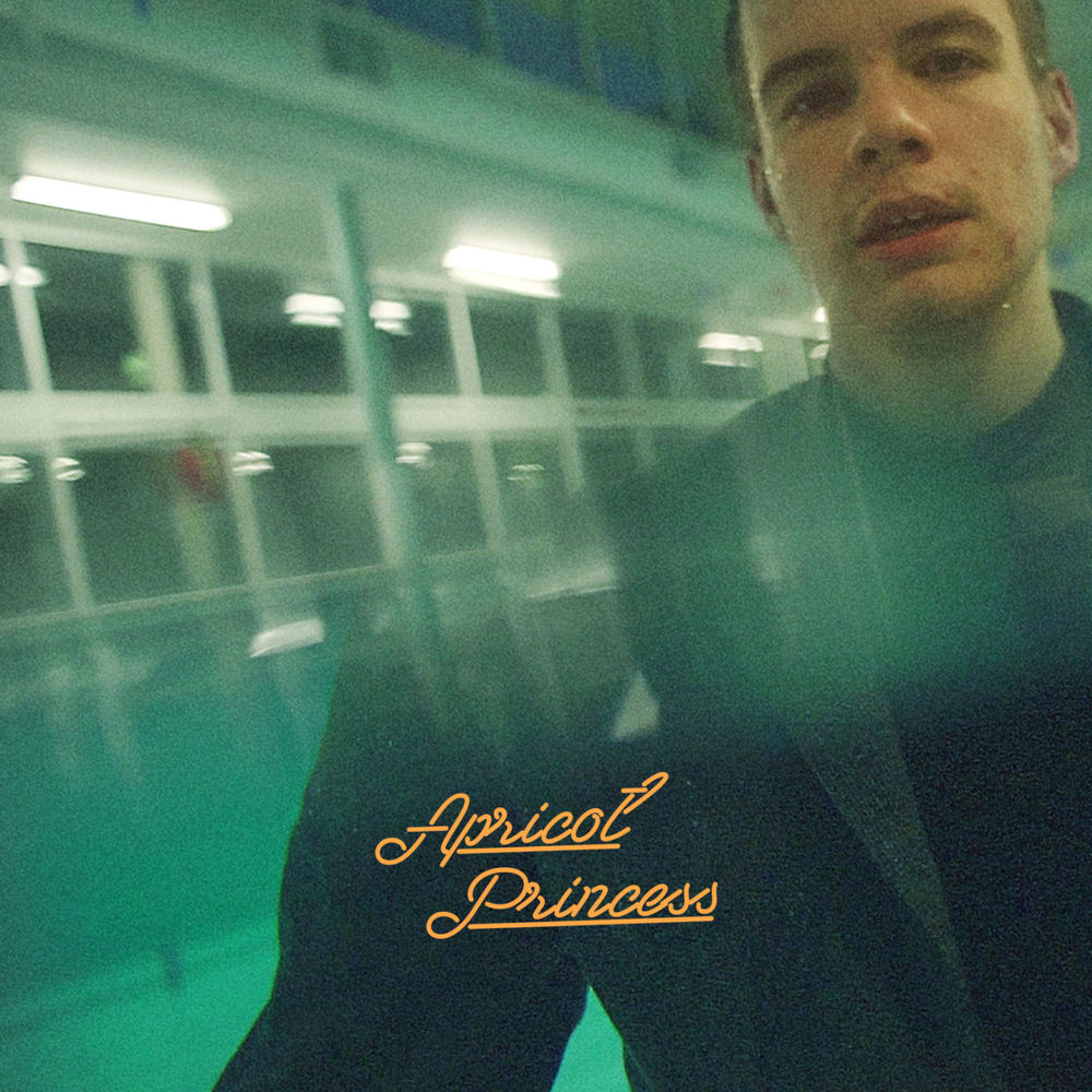 Rex Orange County Albums: songs, discography, biography, and listening ...