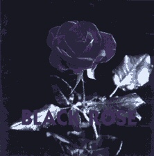 Black Rose by Black Rose (Album): Reviews, Ratings, Credits, Song list ...