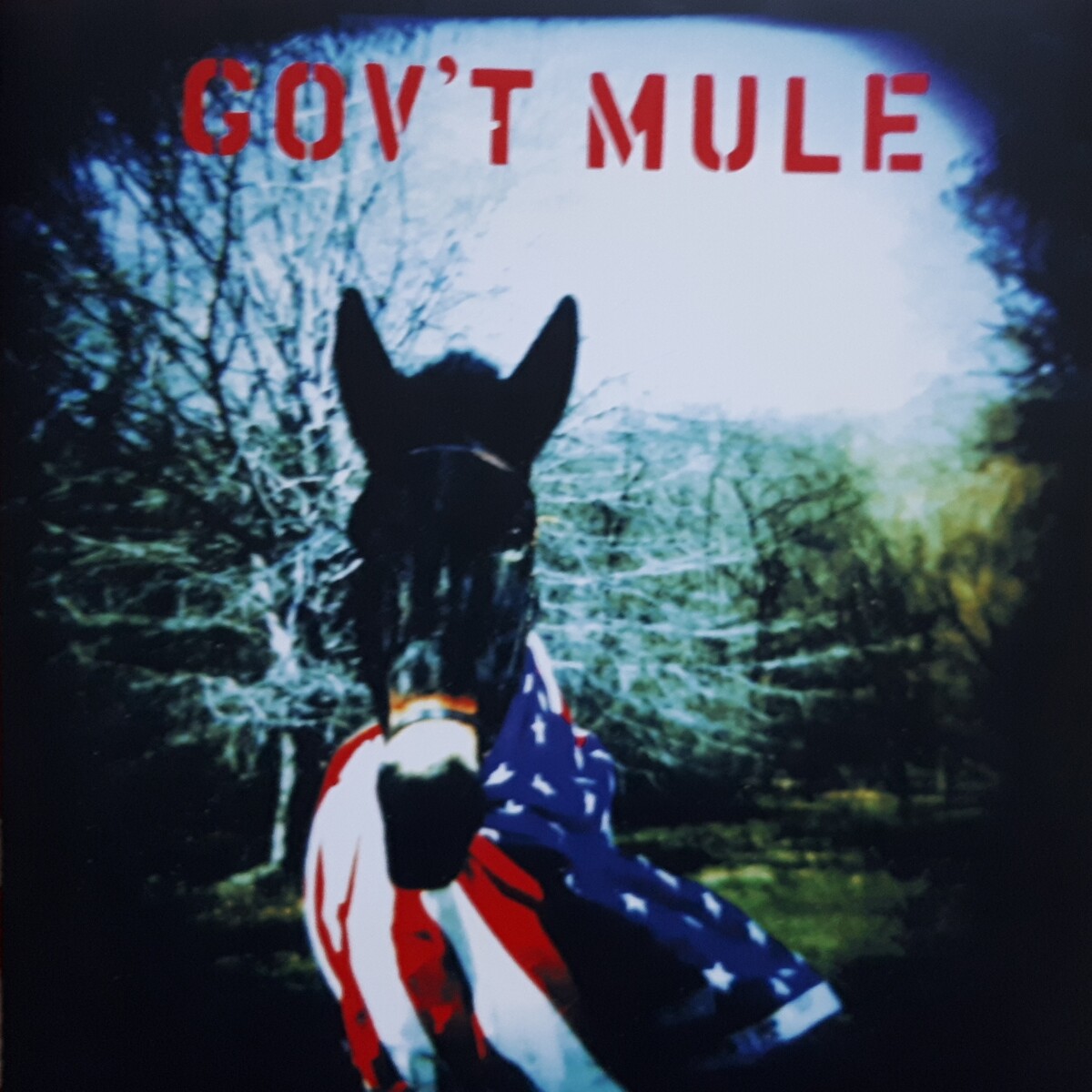 Gov't Mule by Gov't Mule (Album; Let Them Eat Vinyl; LETV419LP ...