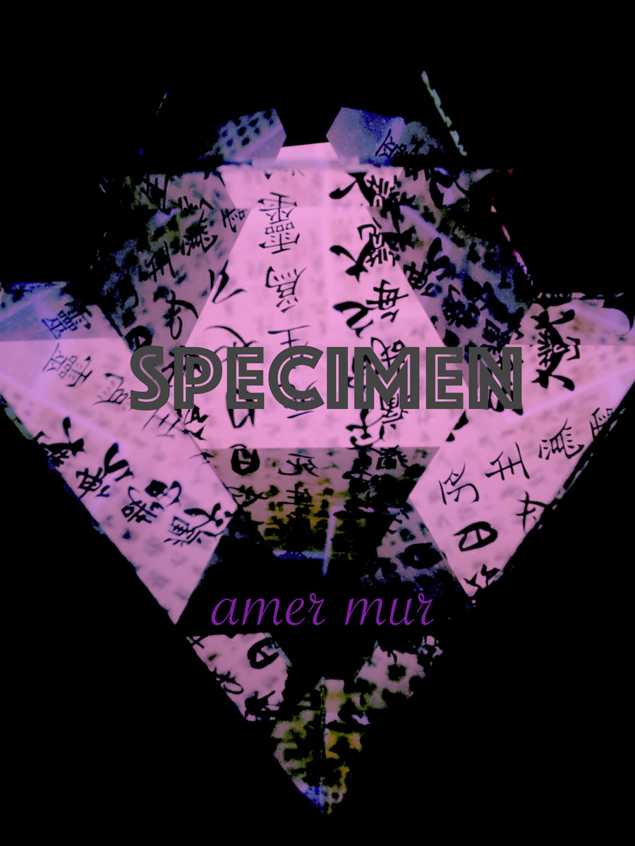 Amer Mur by SpecImEn (Album; Skitnaste; SKITNASTE 245): Reviews ...
