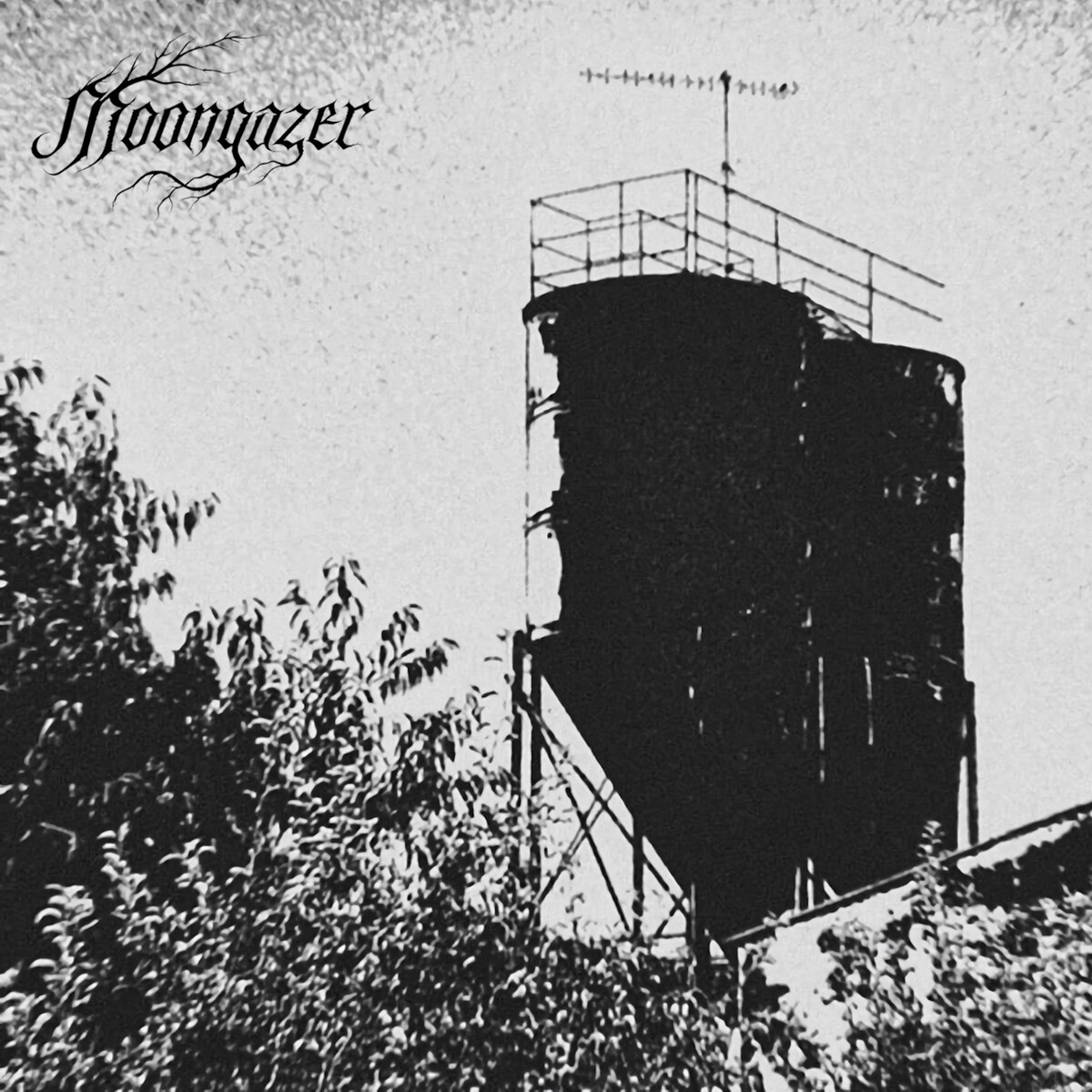 Moongazer Albums: songs, discography, biography, and listening guide ...