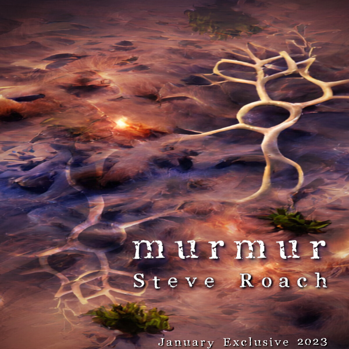 Murmur - January Exclusive 2023 by Steve Roach (Album; n/a): Reviews ...