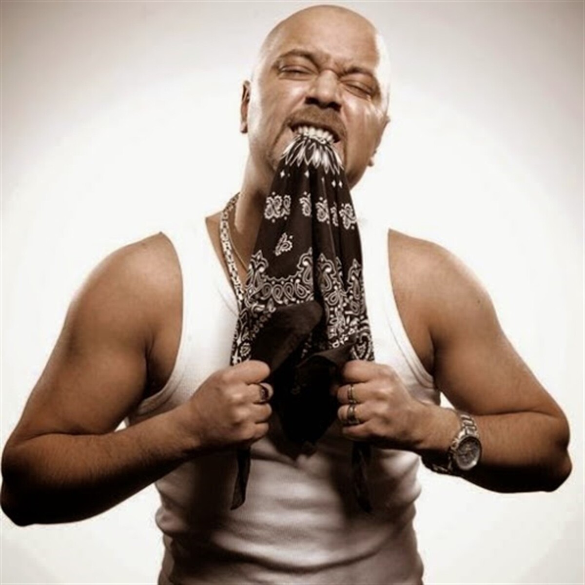 Gekko G Albums: songs, discography, biography, and listening guide - Rate Your Music