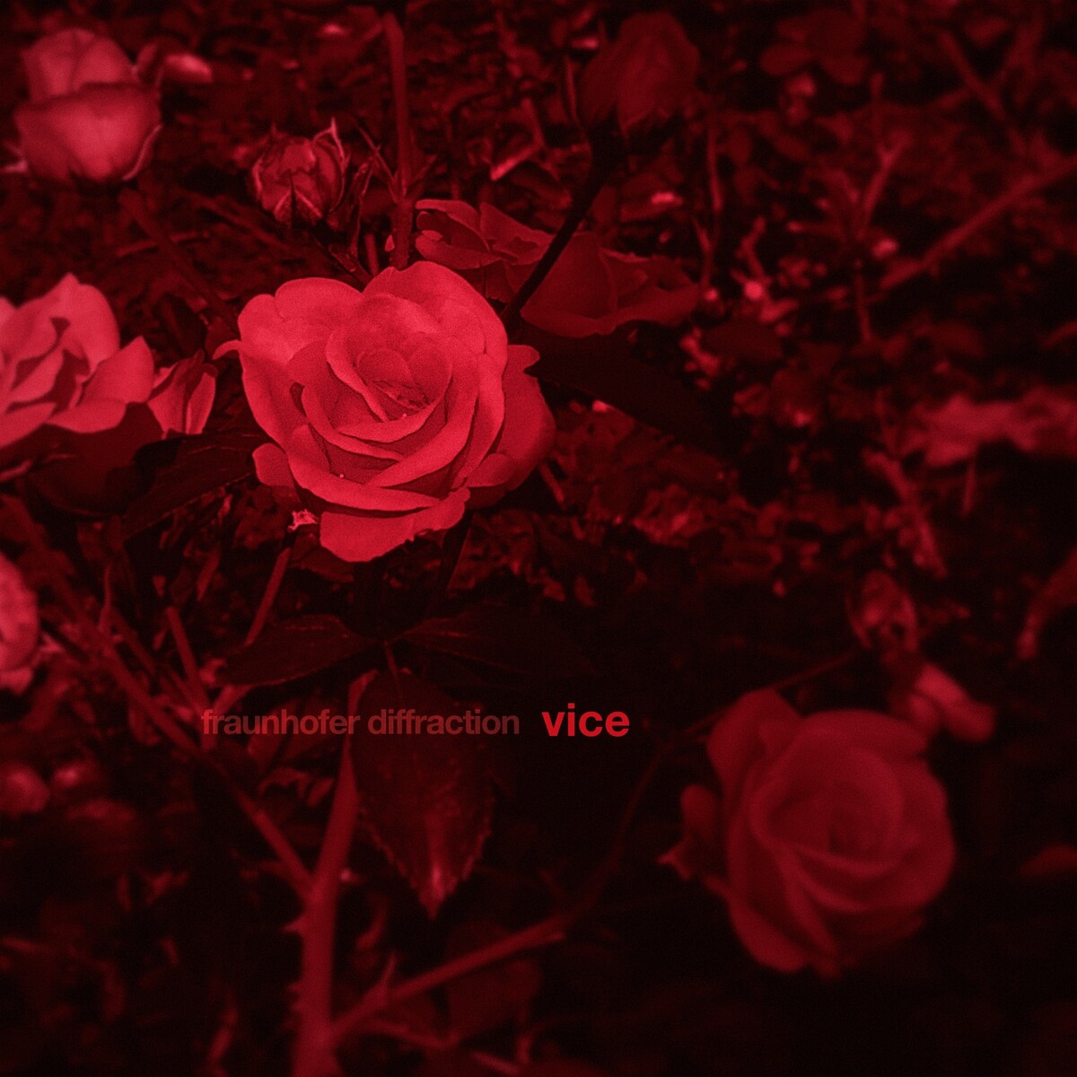 Vice by Fraunhofer Diffraction (Album; n/a; n/a): Reviews, Ratings ...