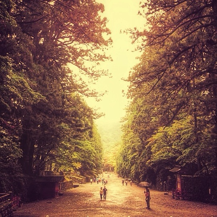 Ascend and Return by tdel (EP, Ambient): Reviews, Ratings, Credits ...