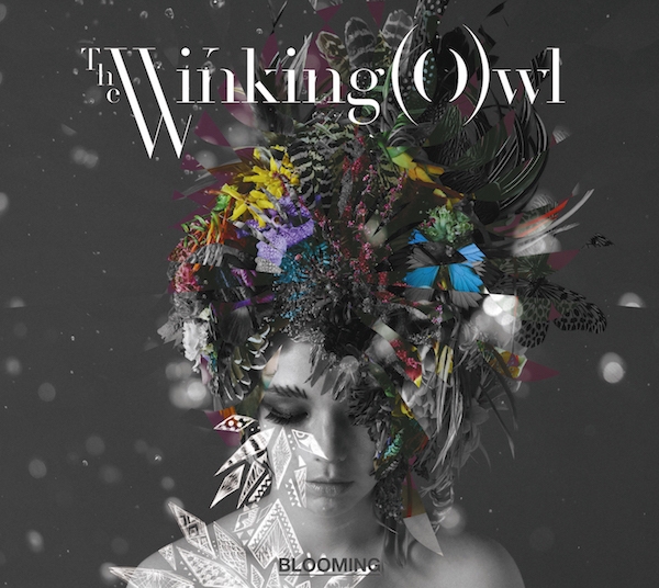 The Winking Owl Albums: songs, discography, biography, and listening ...
