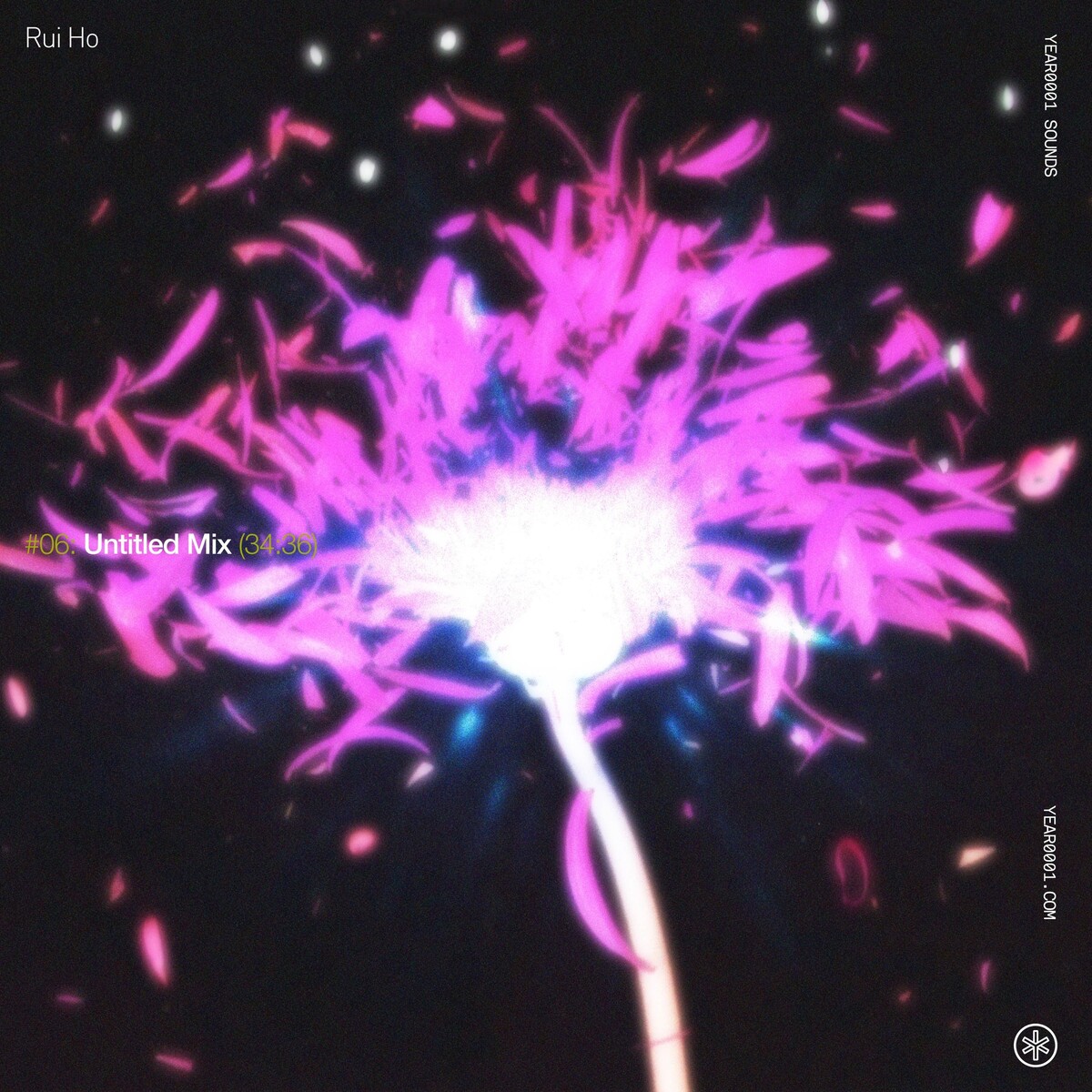 Rui Ho Mix by Rui Ho (DJ Mix): Reviews, Ratings, Credits, Song list ...