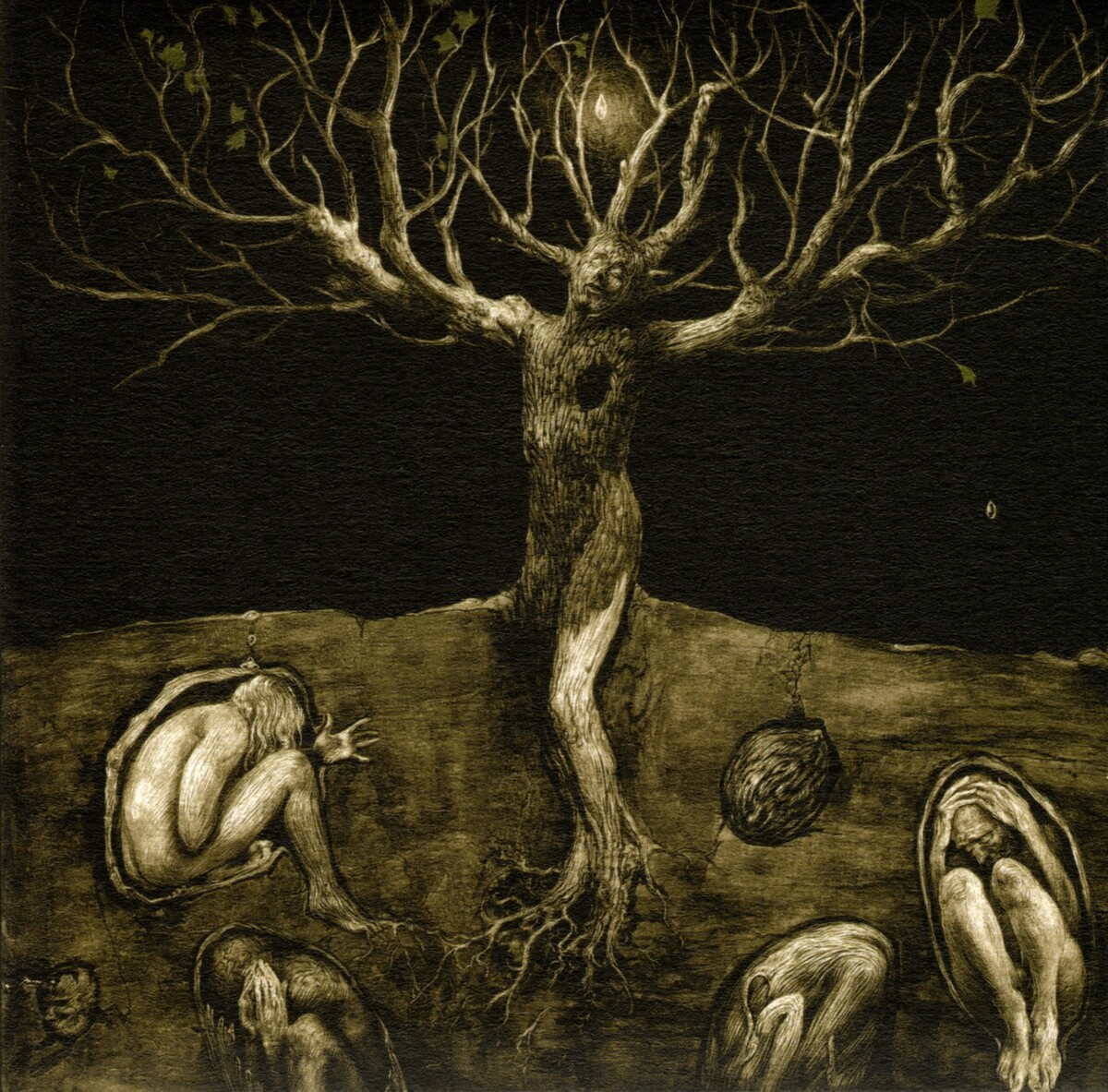 All Traps on Earth Albums: songs, discography, biography, and listening ...