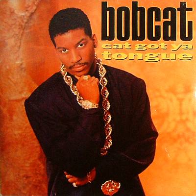 Bobcat Albums: songs, discography, biography, and listening guide ...