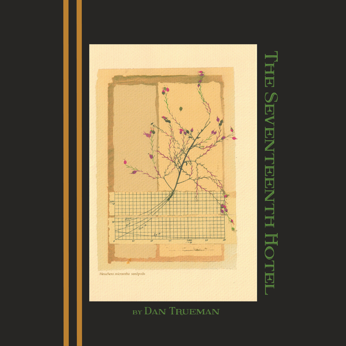 The Seventeenth Hotel by Dan Trueman (Album): Reviews, Ratings, Credits ...