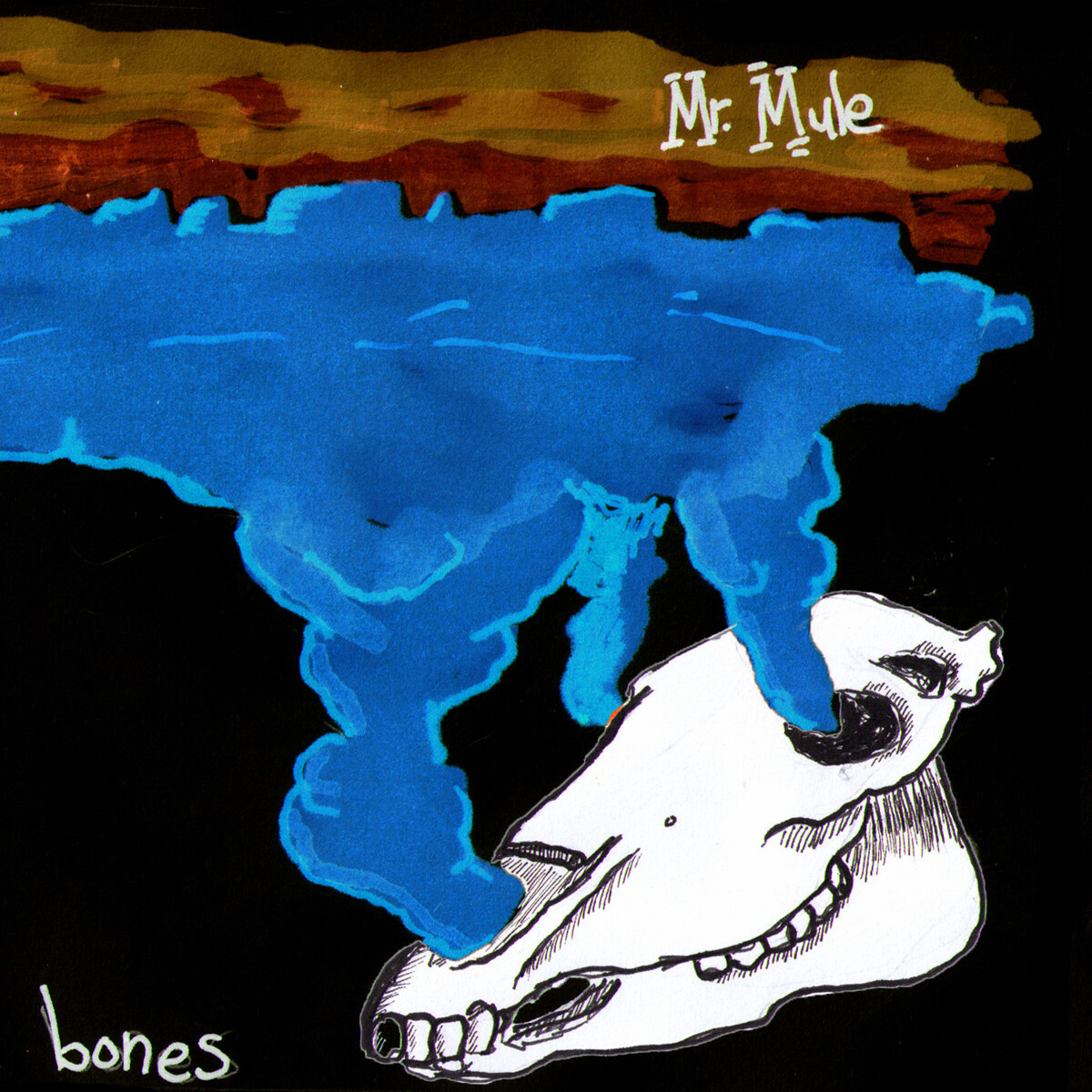 Bones by J. Kill & Mr. Mule (Album): Reviews, Ratings, Credits, Song ...