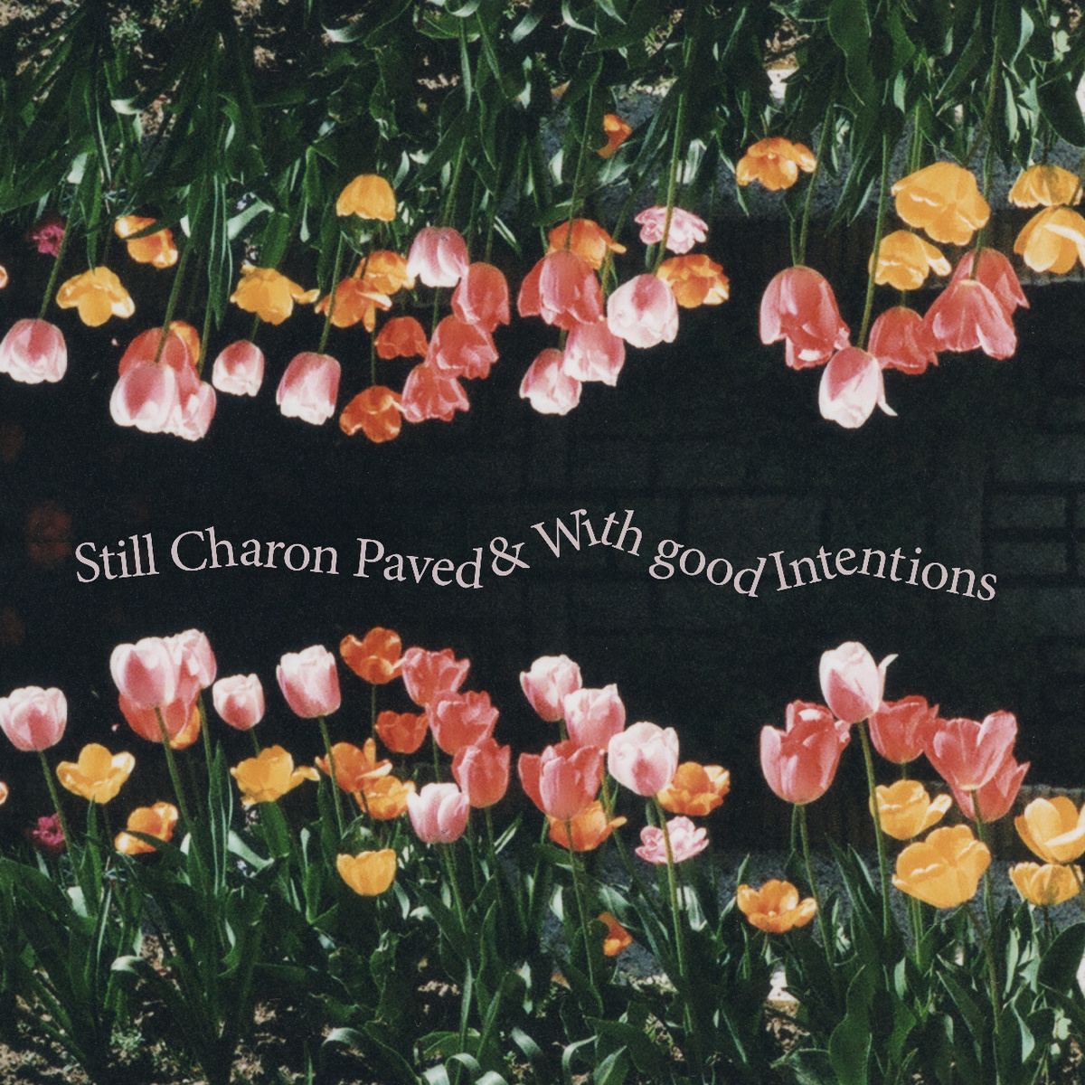 Still Charon Albums: songs, discography, biography, and listening guide ...