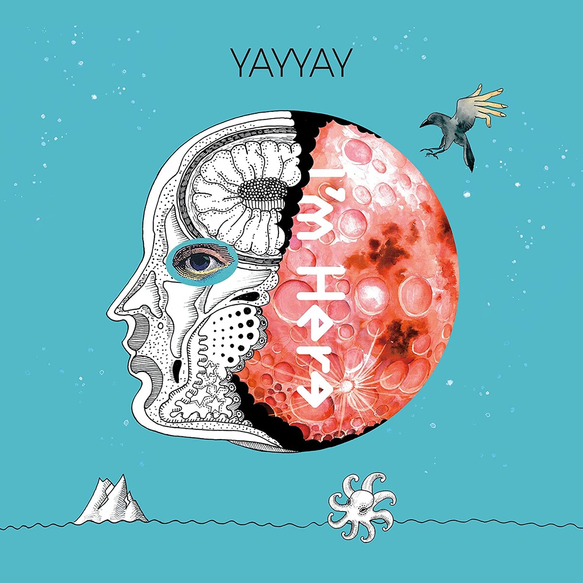 YAYYAY Albums: songs, discography, biography, and listening guide ...