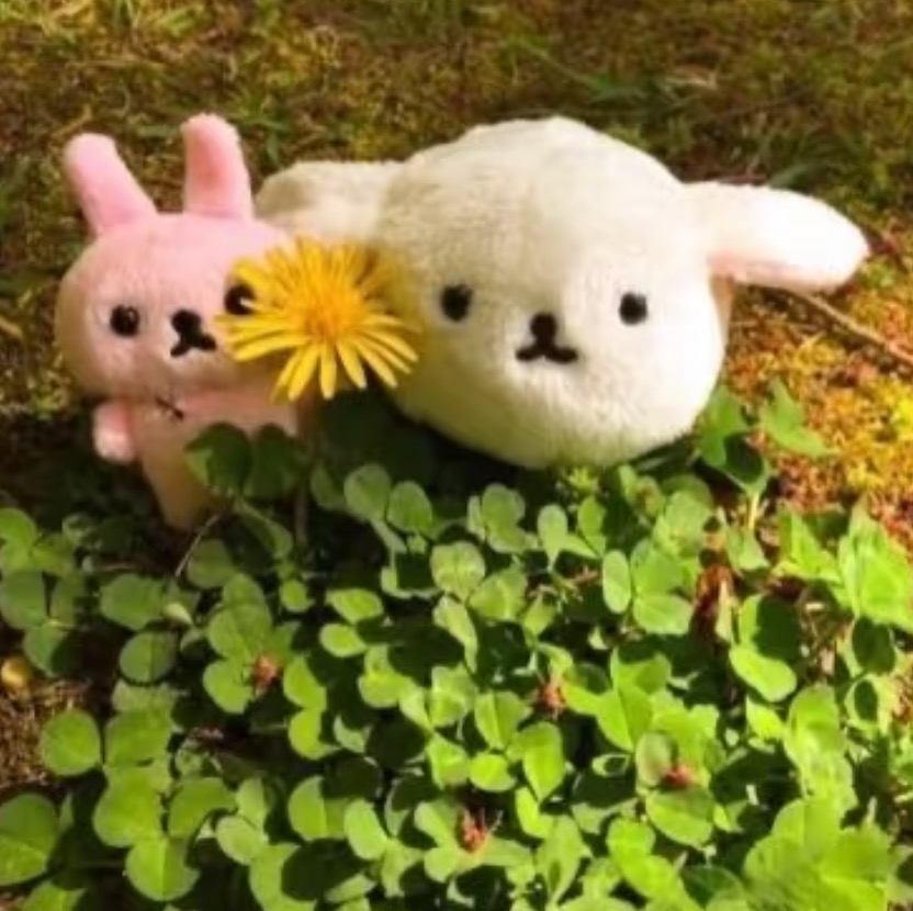 棉花 by hpsb (Single): Reviews, Ratings, Credits, Song list - Rate Your Music