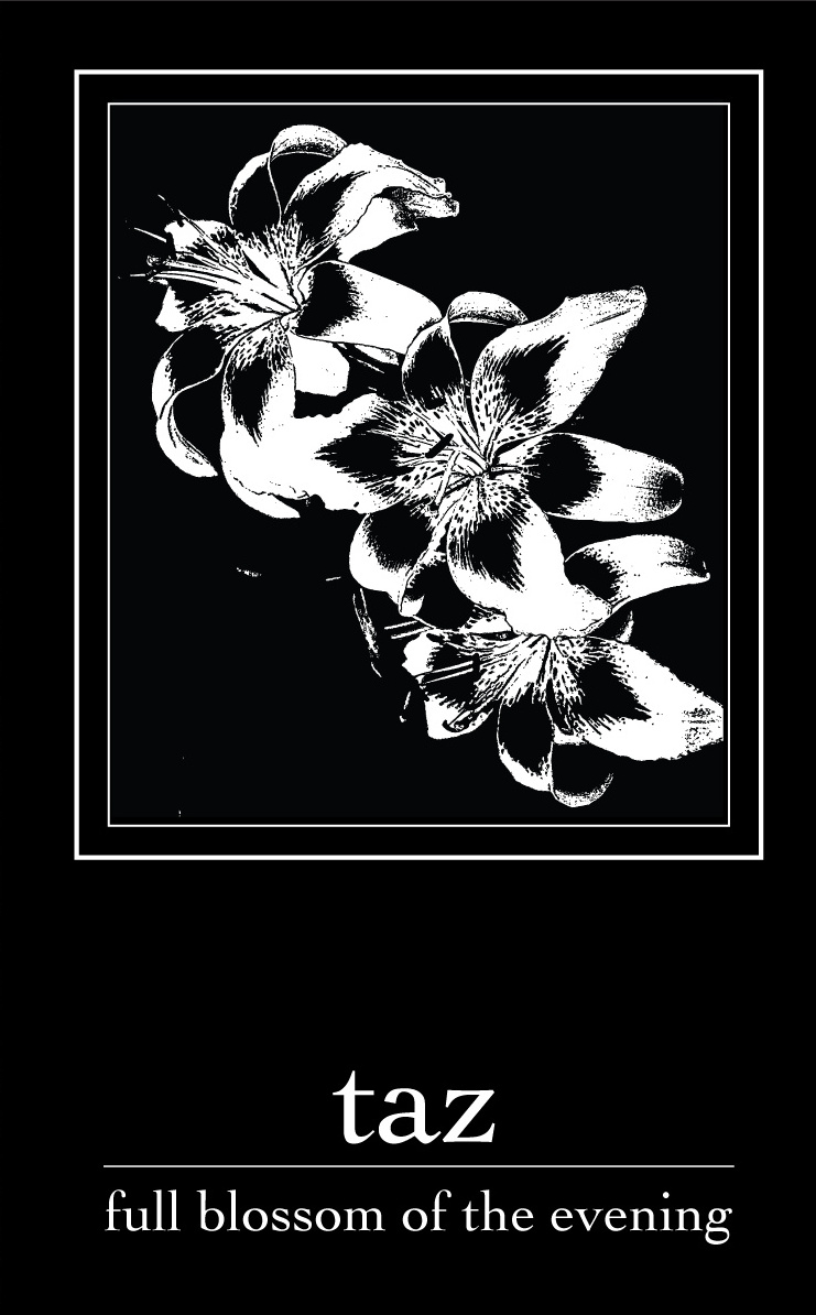 Taz Albums: songs, discography, biography, and listening guide - Rate ...