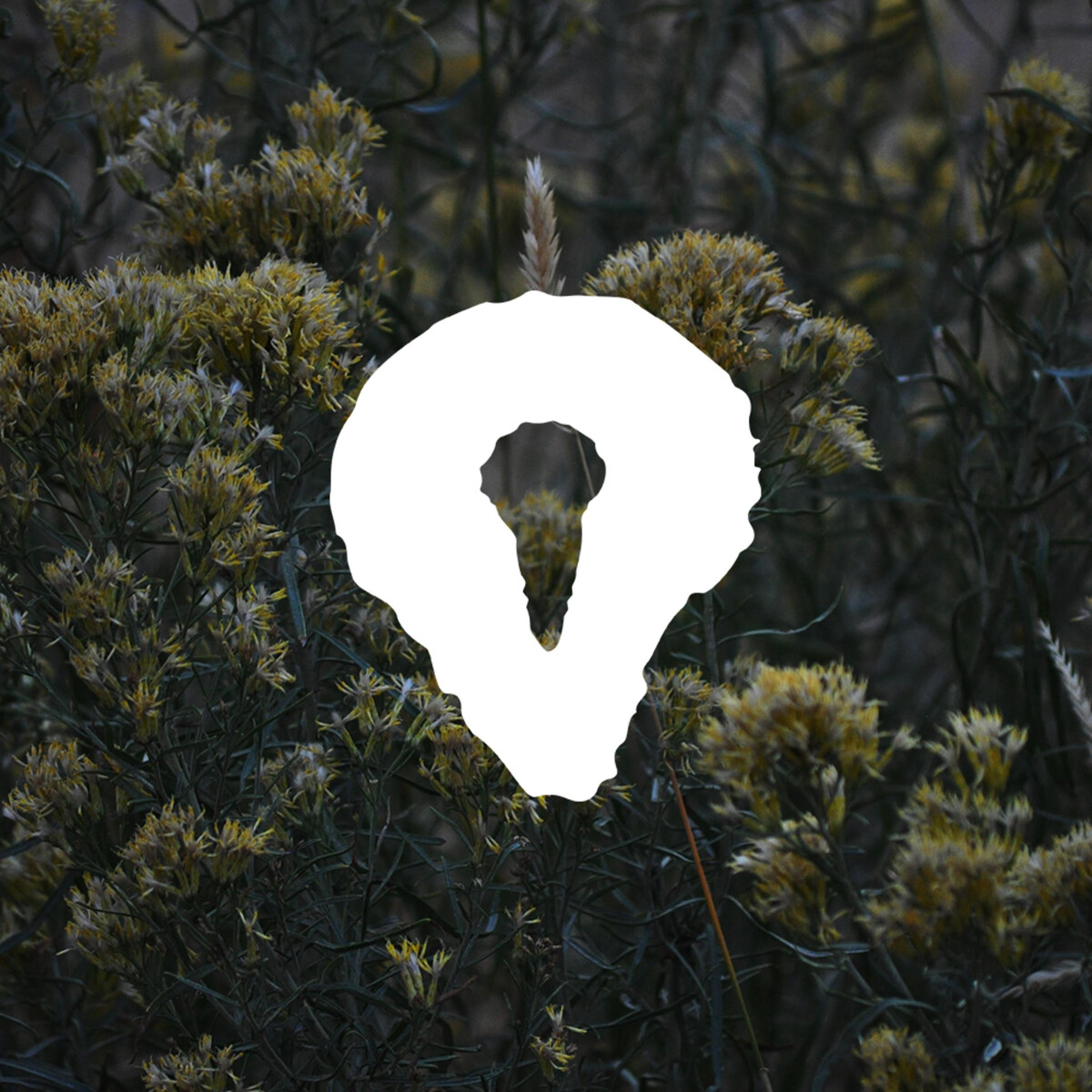 One by Paperlock (Single): Reviews, Ratings, Credits, Song list - Rate ...