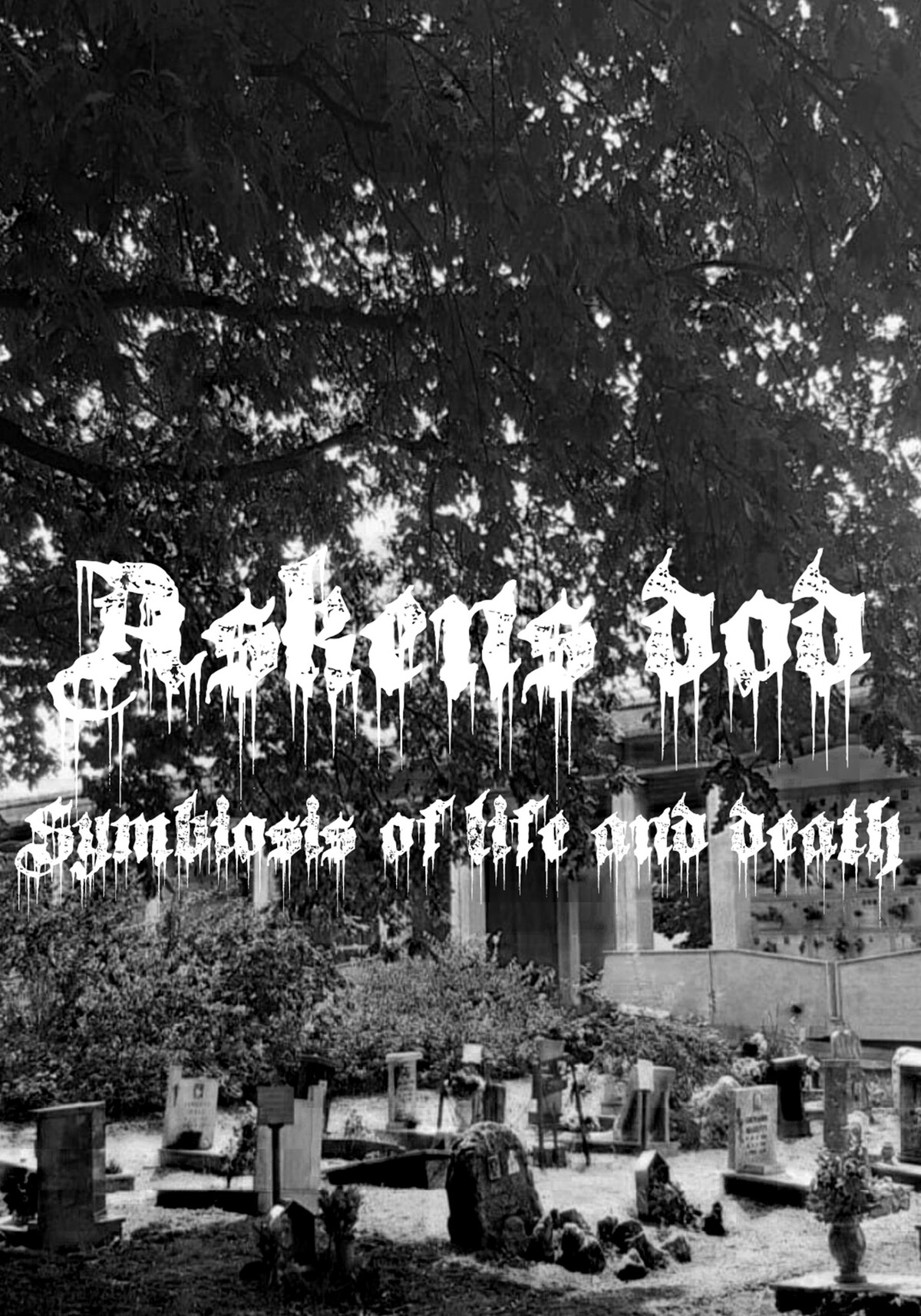 Askens dod Albums: songs, discography, biography, and listening guide ...