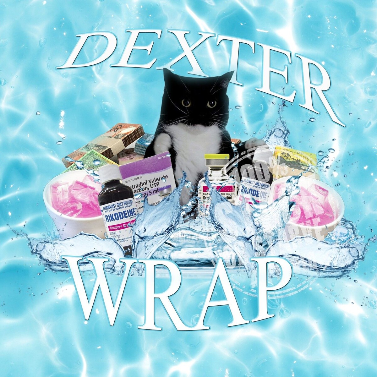 wrap by dexter (Single): Reviews, Ratings, Credits, Song list - Rate ...