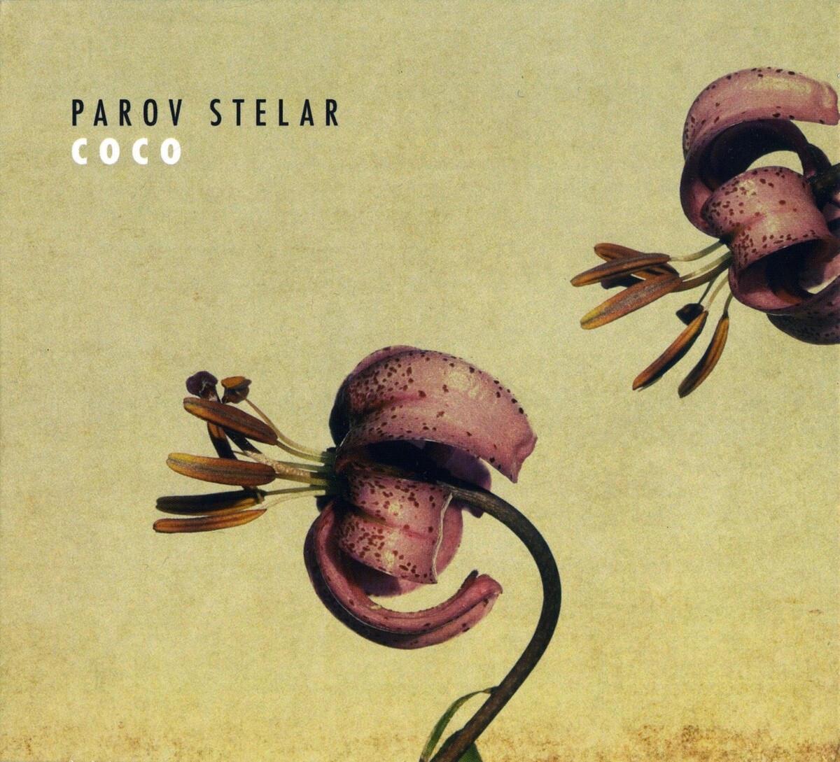 Best Parov Stelar songs of all time - Rate Your Music