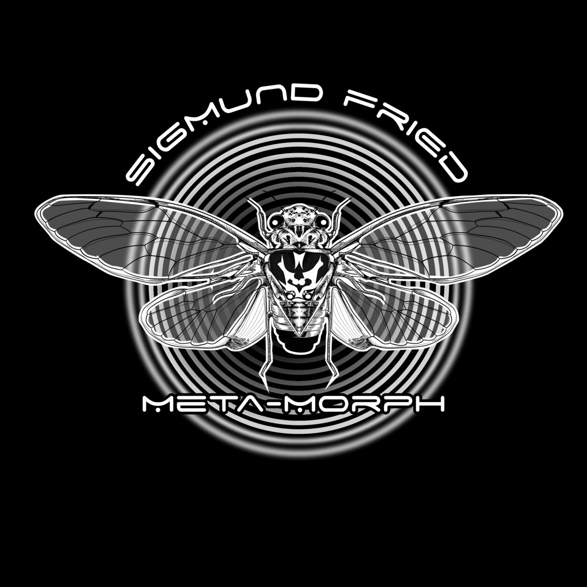 Sigmund Fried Albums: songs, discography, biography, and listening ...