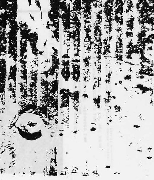 Spacerock '88 by Alien Planetscapes (Album; Sound of Pig; SOP 155 ...