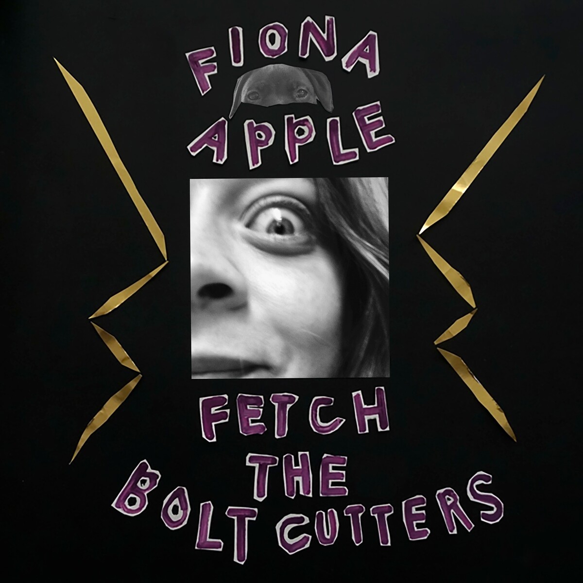 Fiona Apple Albums: songs, discography, biography, and listening guide ...