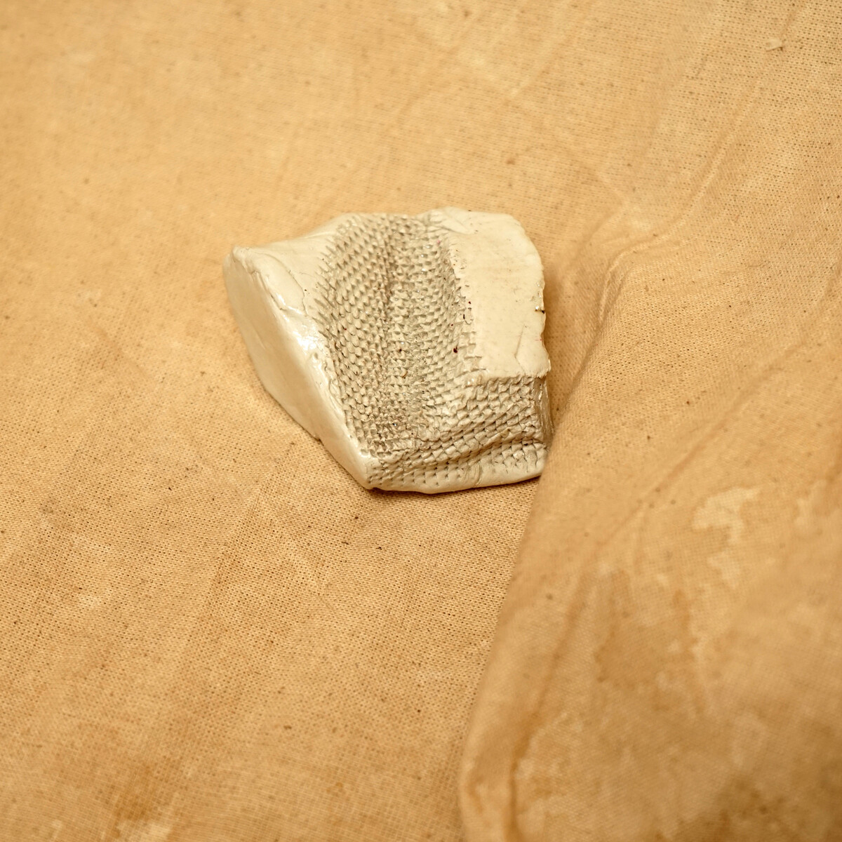 Morph Me by Rosa Anschütz (Single): Reviews, Ratings, Credits, Song ...