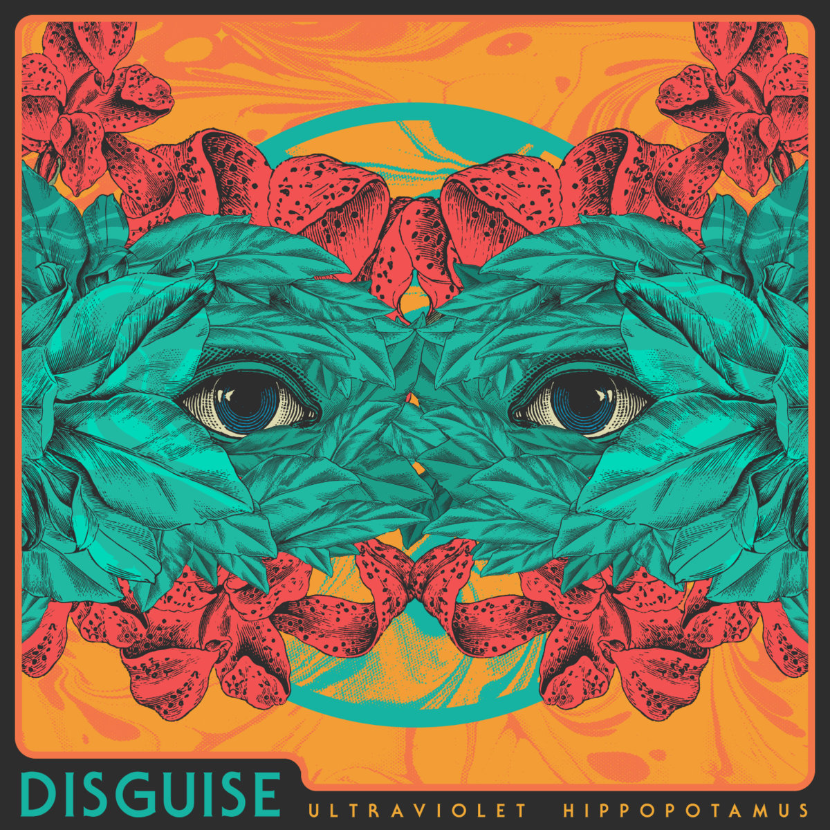 Disguise by Ultraviolet Hippopotamus (Album, Jazz-Rock): Reviews ...