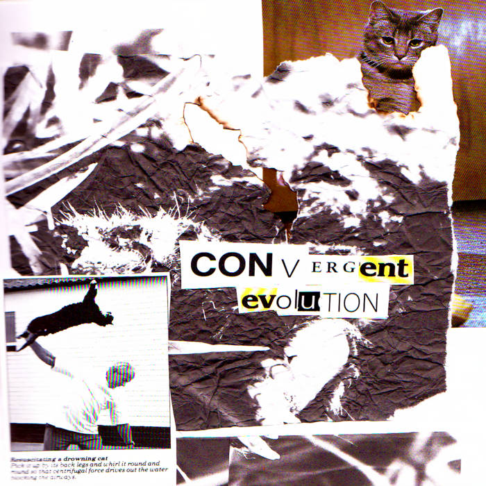 Convergent Evolution by Victim Unit (EP): Reviews, Ratings, Credits ...