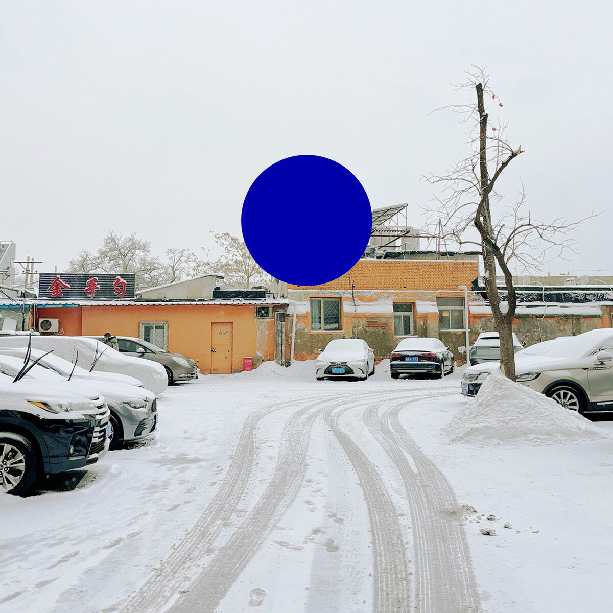 mary sue Albums: songs, discography, biography, and listening guide ...