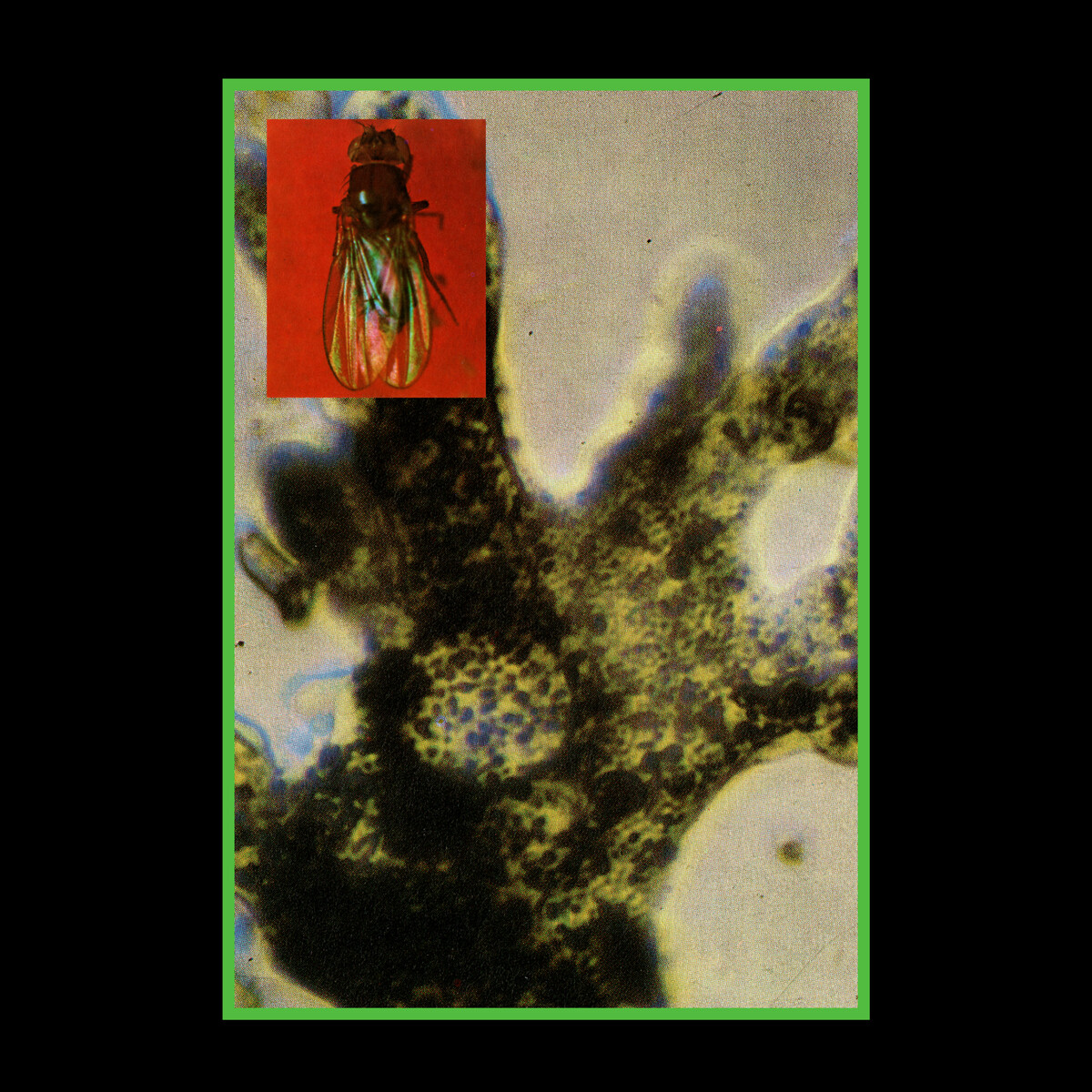 Barnum by Barnum (Album): Reviews, Ratings, Credits, Song list - Rate ...