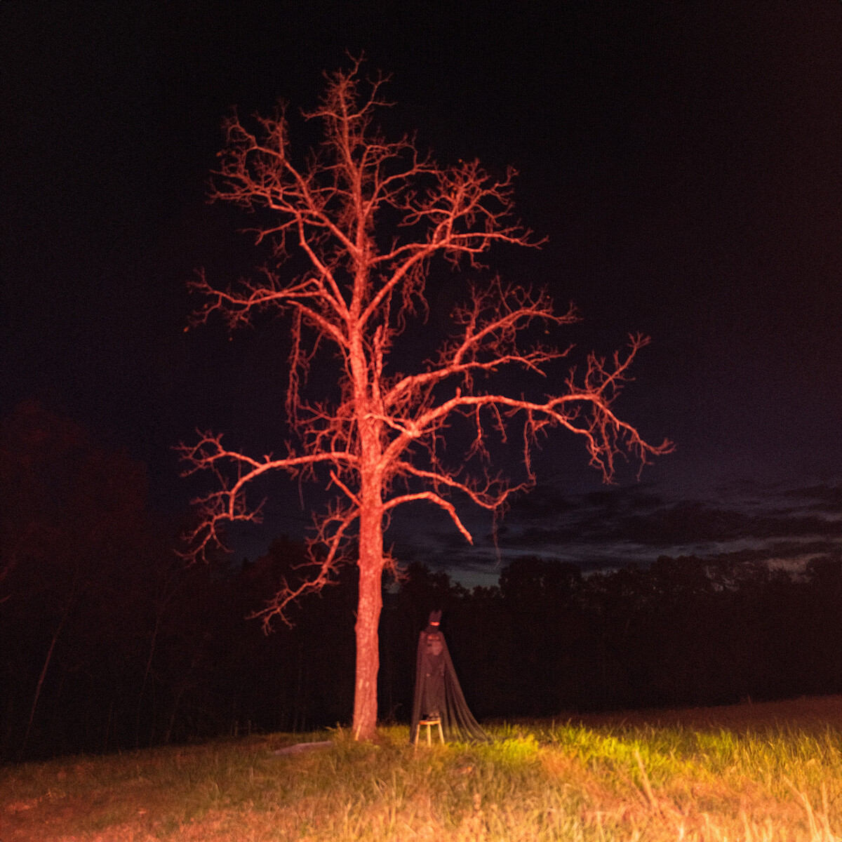 Stockholm by Transviolet (Album): Reviews, Ratings, Credits, Song list ...