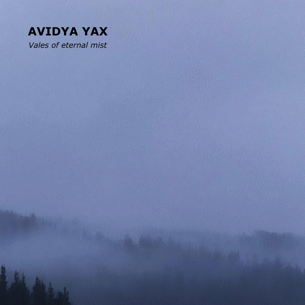 Avidya Yax Albums: songs, discography, biography, and listening guide ...