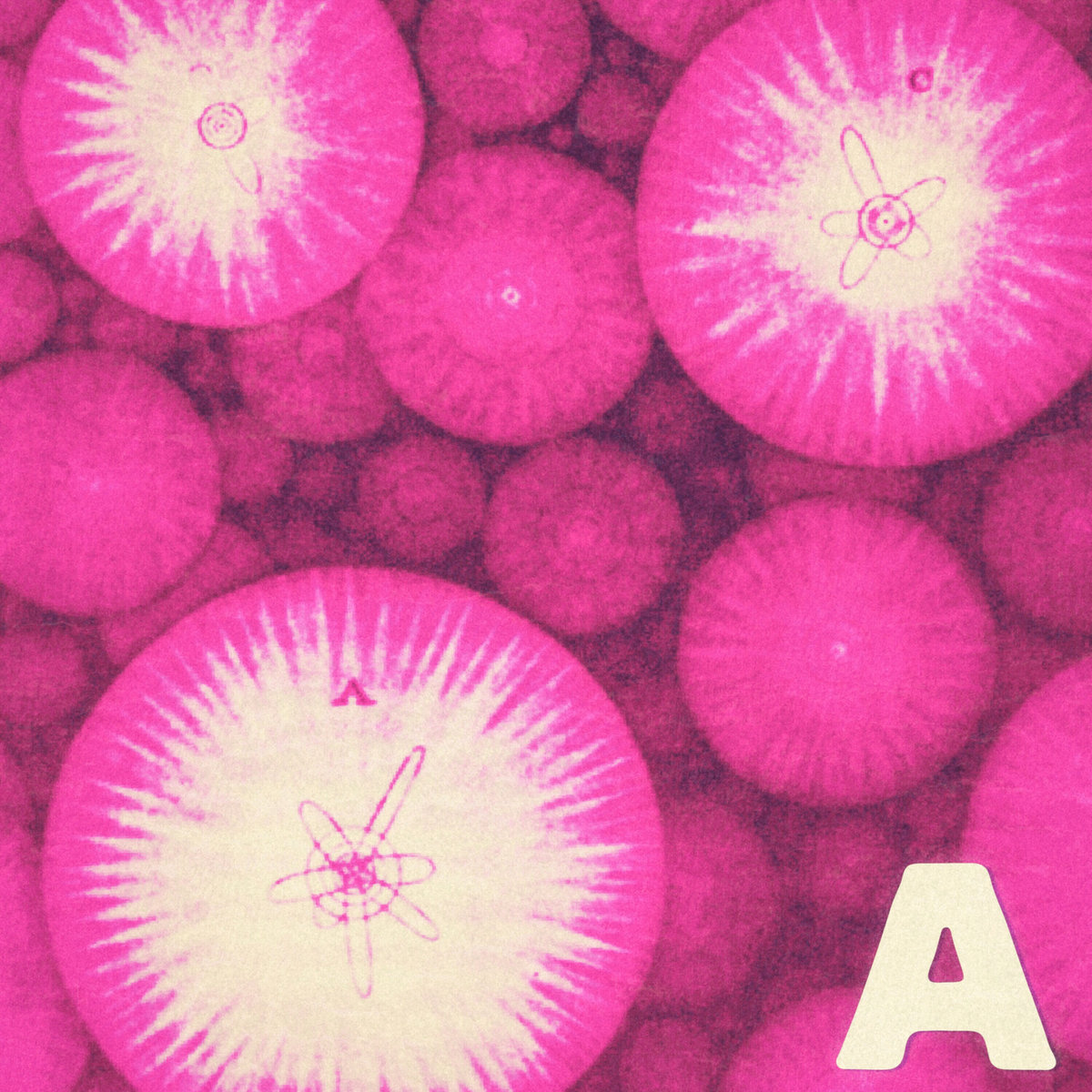 Astering by Soft Punch (Single, Ambient Pop): Reviews, Ratings, Credits ...