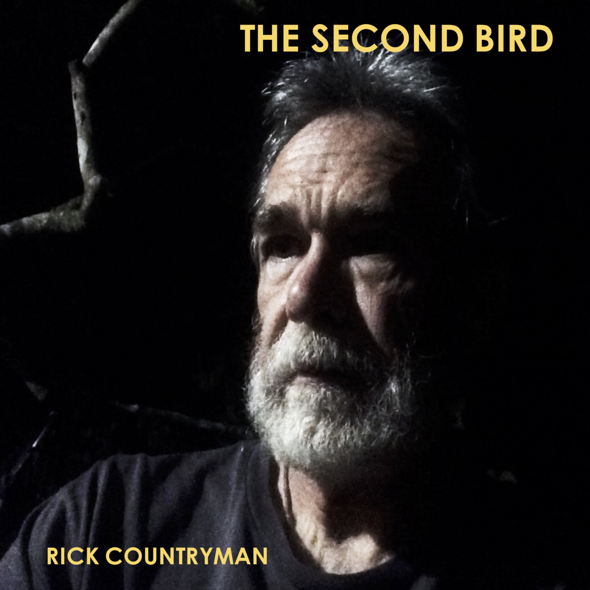 The Second Bird by Rick Countryman (Album): Reviews, Ratings, Credits ...