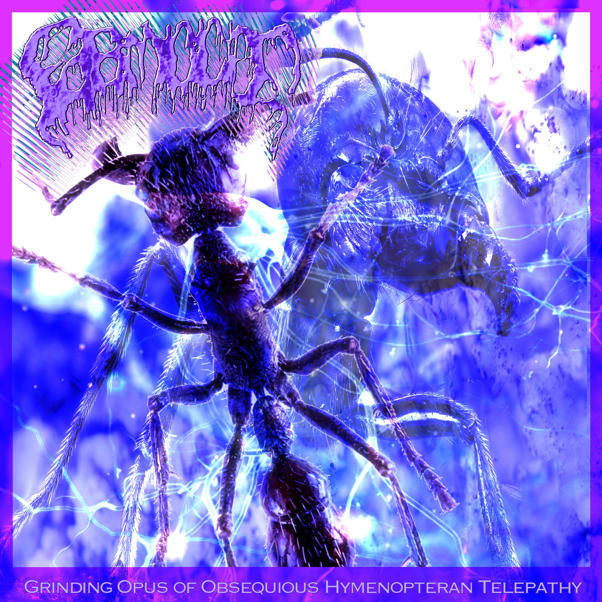 Grinding Opus of Obsequious Hymenopteran Telepathy by Formicidae (EP ...