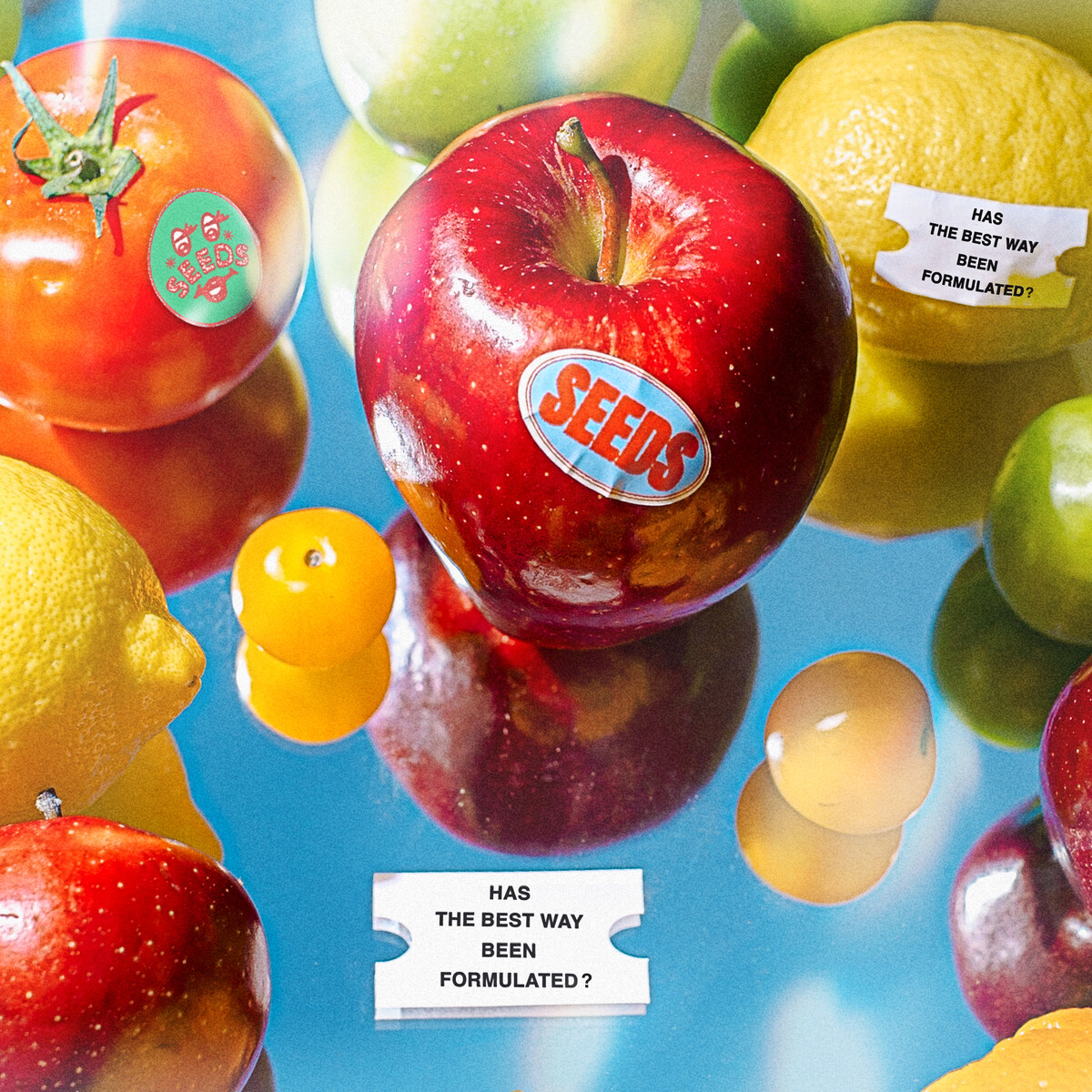 Seeds Albums: songs, discography, biography, and listening guide - Rate ...