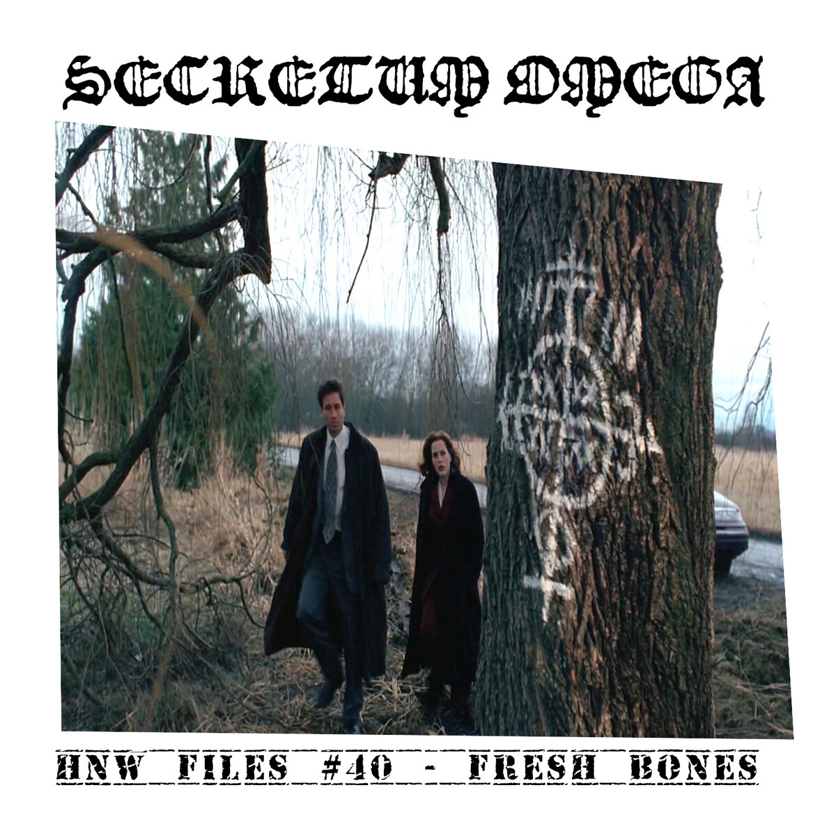 HNW Files #40 - Fresh Bones by Secretum Omega (Album; n/a; n/a ...