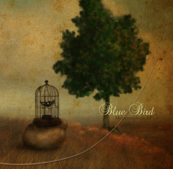 Blue Bird Albums: songs, discography, biography, and listening guide ...