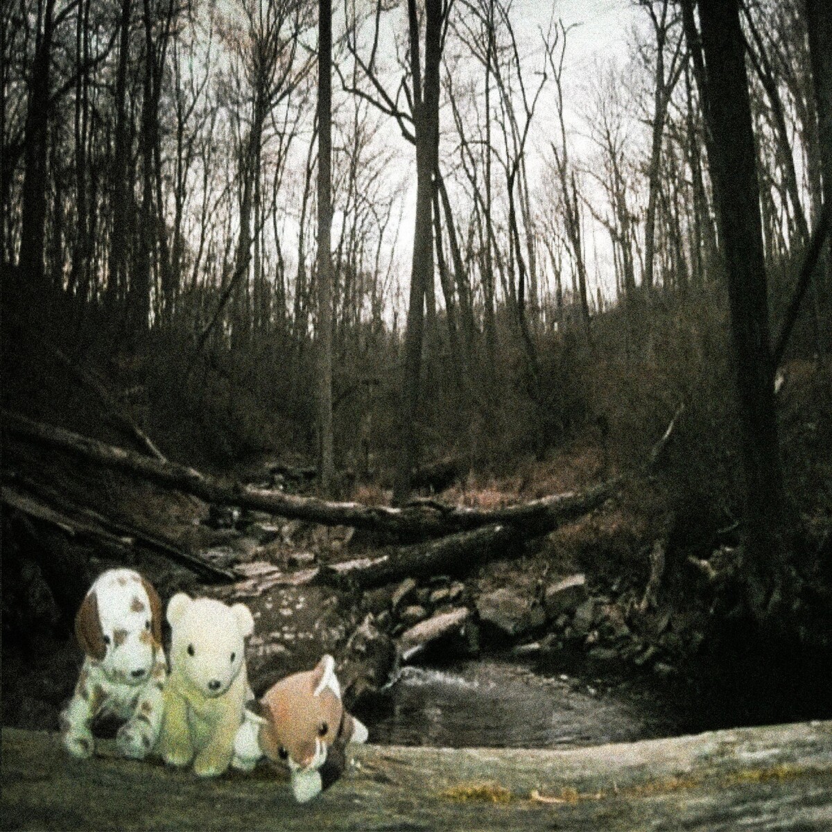 Gonerville Albums: songs, discography, biography, and listening guide ...