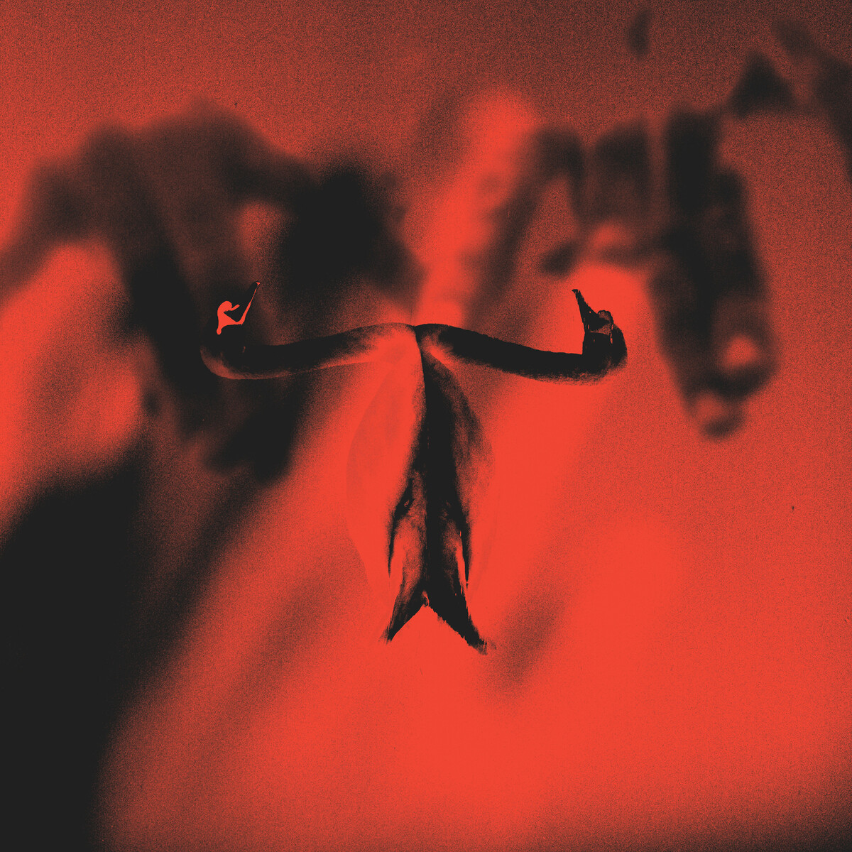 Maxim Mental Albums: songs, discography, biography, and listening guide ...