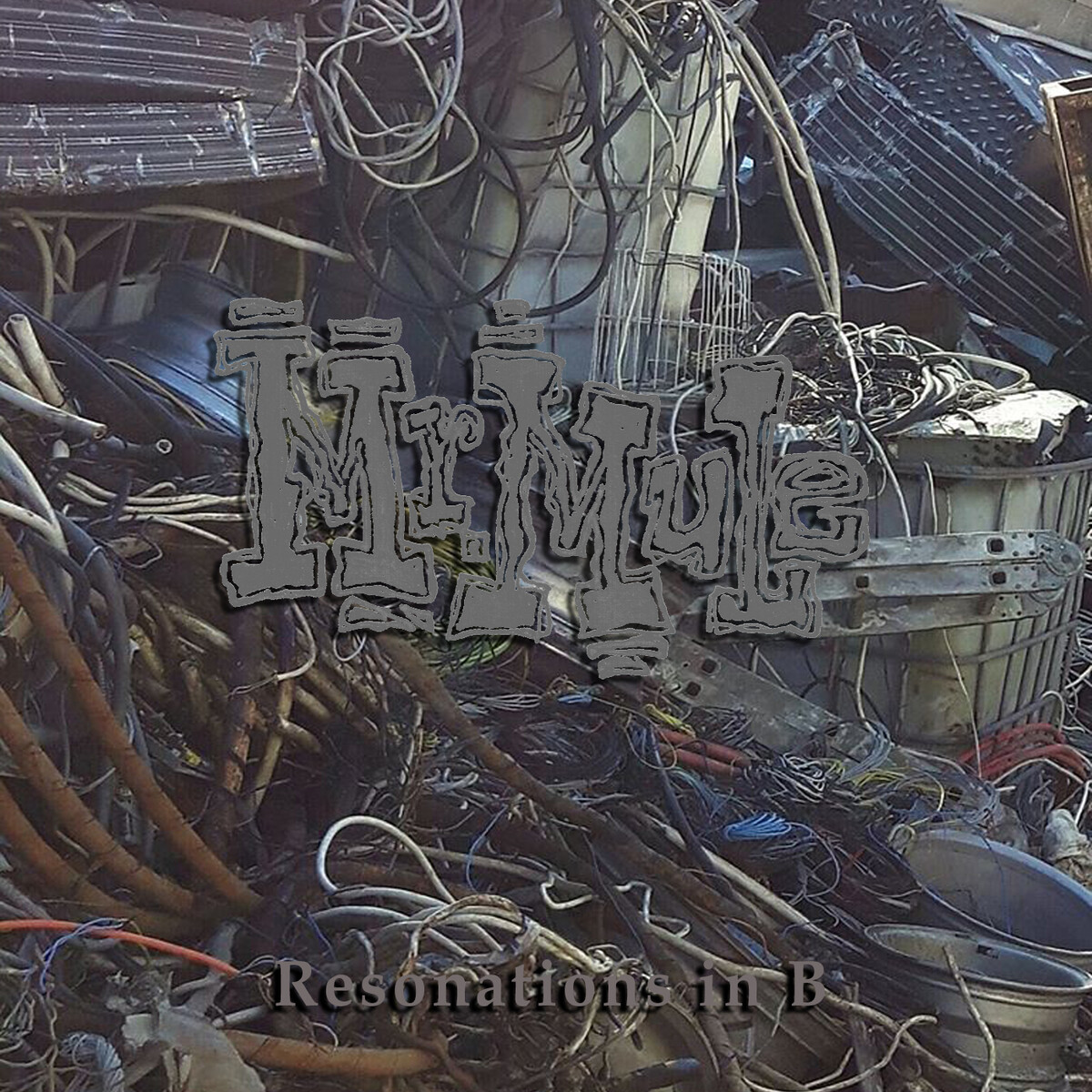 Resonations in B by J. Kill & Mr. Mule (Album): Reviews, Ratings ...