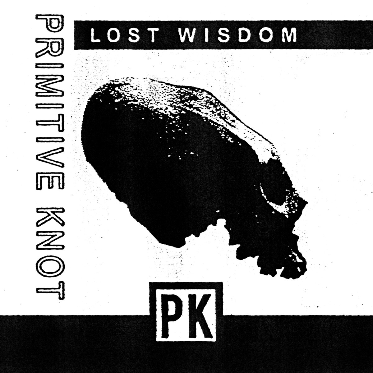 LOST WISDOM by Primitive Knot (Album, Industrial Rock): Reviews ...