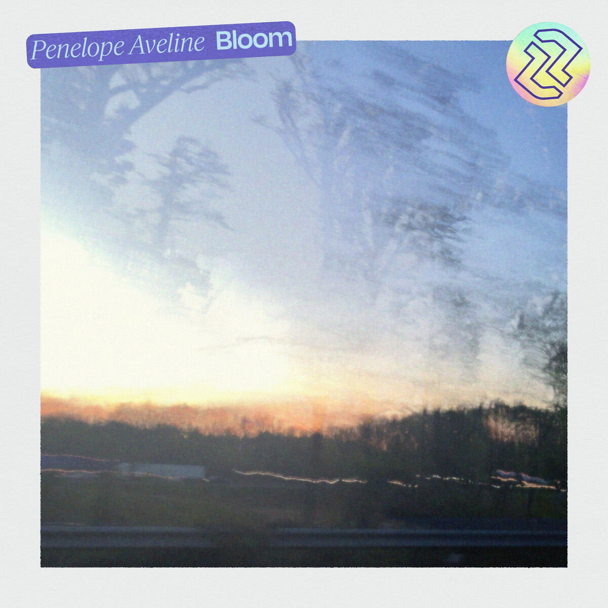 Bloom by Penelope Aveline (Single): Reviews, Ratings, Credits, Song ...