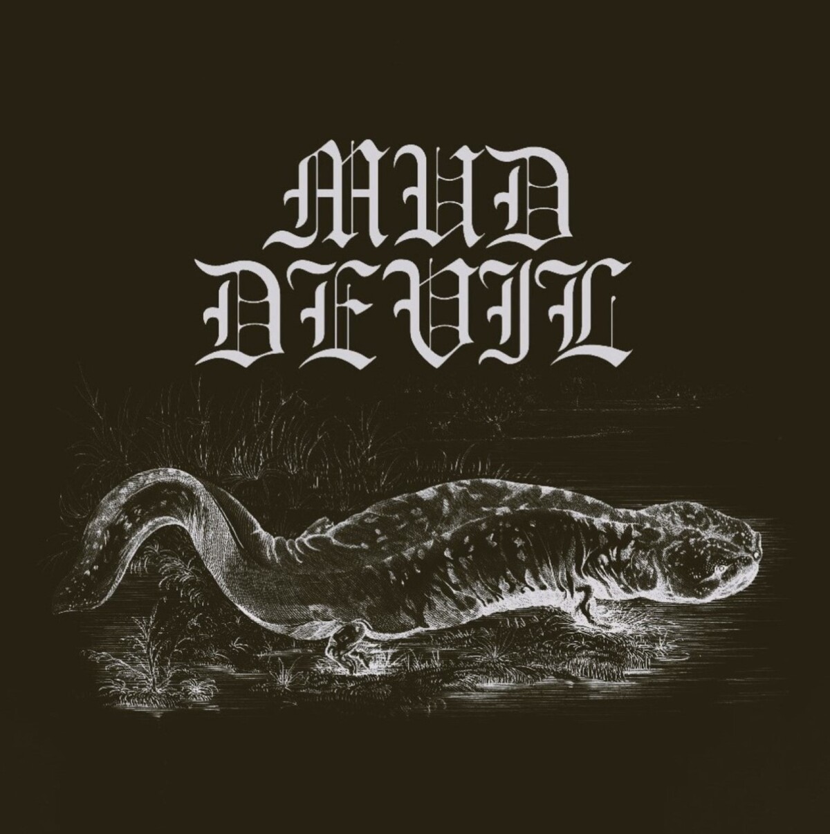 Wyoming Toad Albums: songs, discography, biography, and listening guide ...