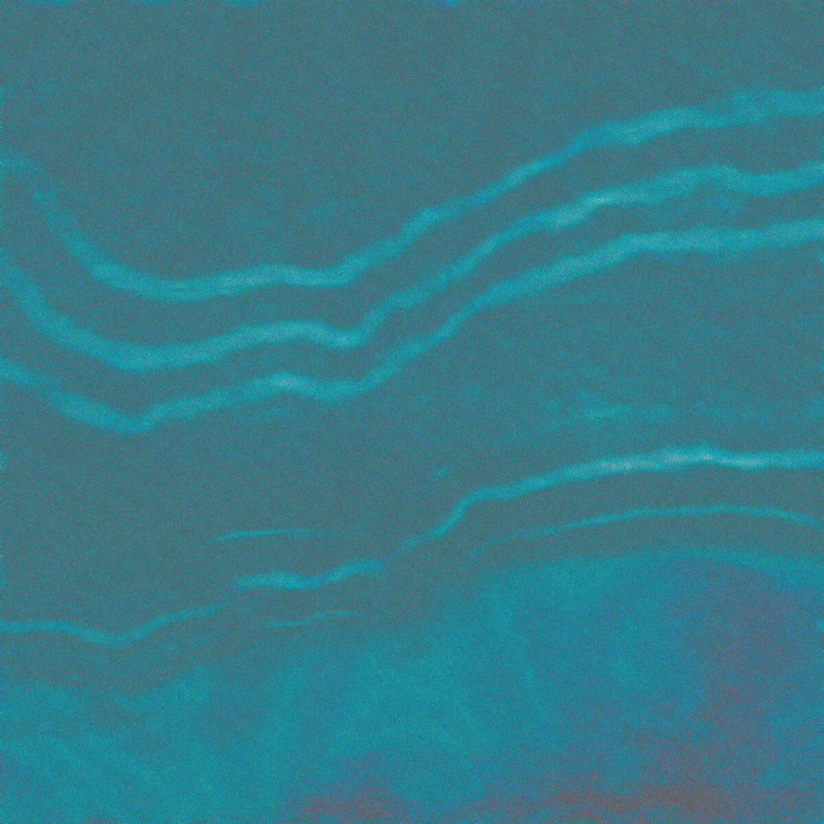 Sea Leveler by Coppice Halifax (Album): Reviews, Ratings, Credits, Song ...